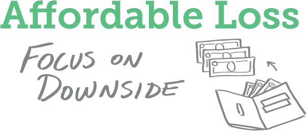 The Five Principles of Effectuation Detail