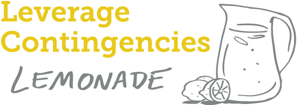 The Five Principles of Effectuation